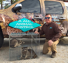 Chapin Animal Removal